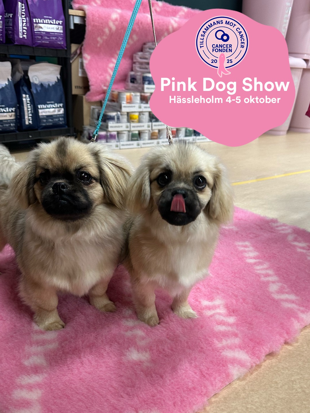 Pink Dog Show i Hässleholm och Stockholm - Gratis på Internet ...